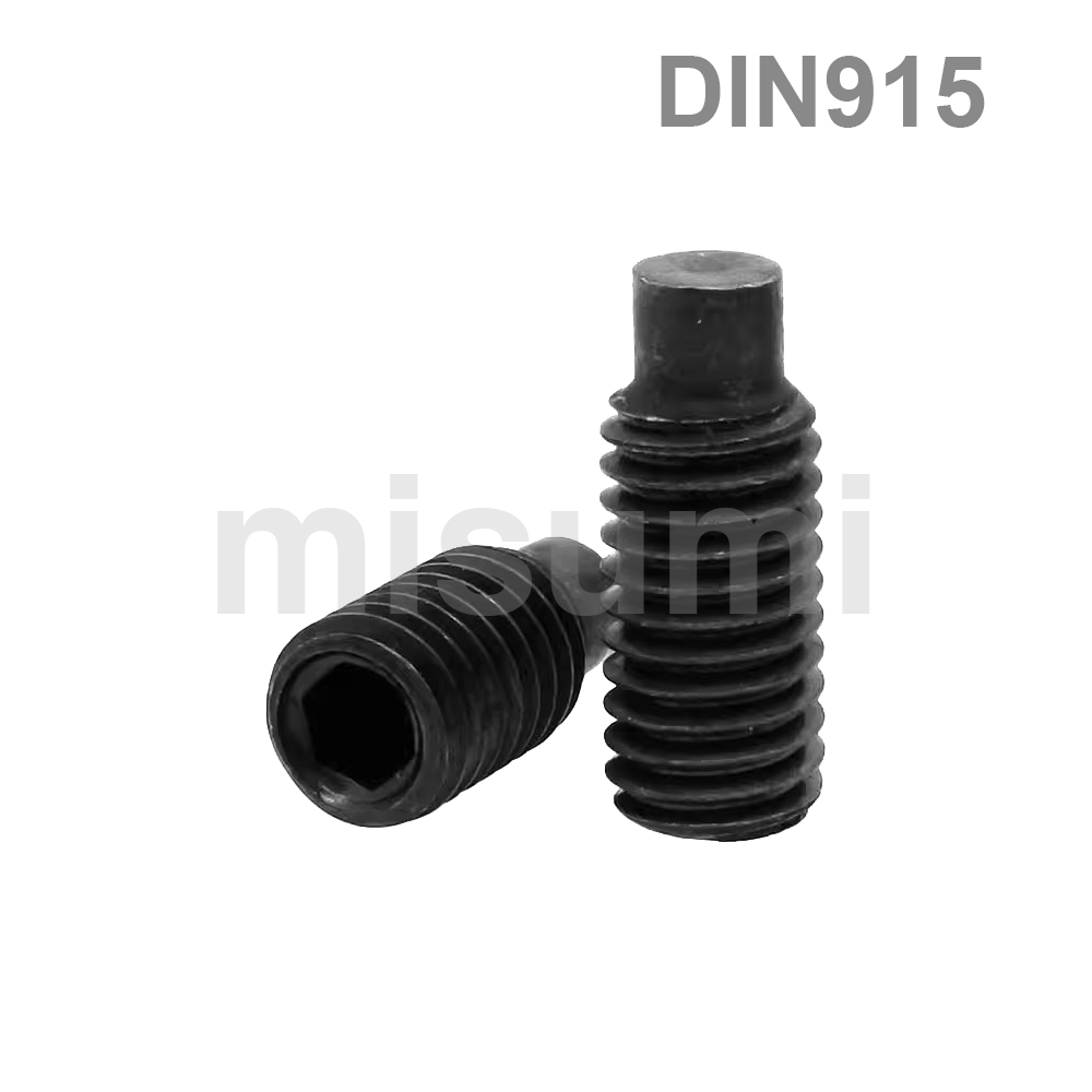 Hex Socket Set Screw - Dog Point - Carbon Steel | MISUMI | MISUMI Indonesia